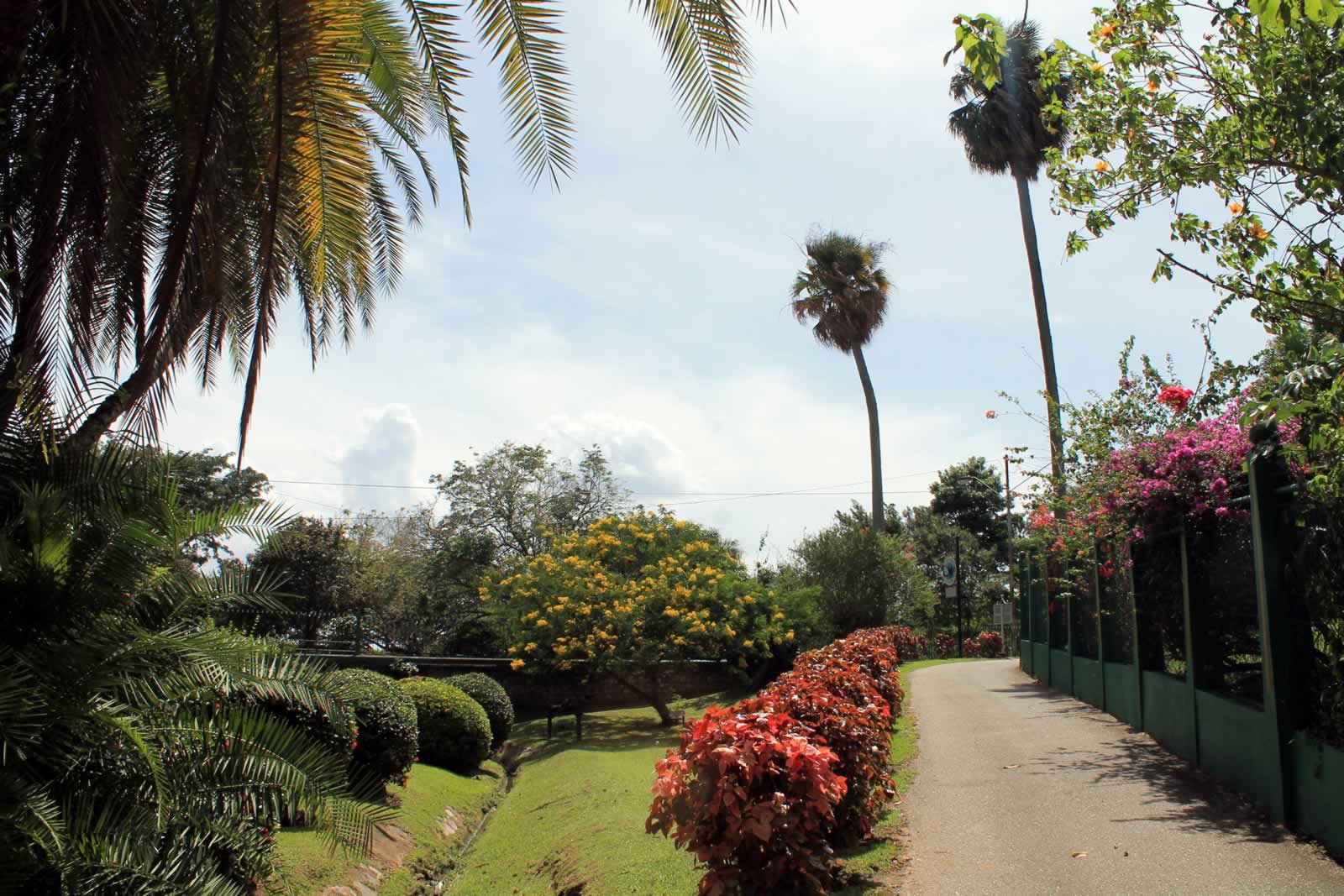 Botanic Gardens: Destination Trinidad and Tobago | Tours, Holidays ...
