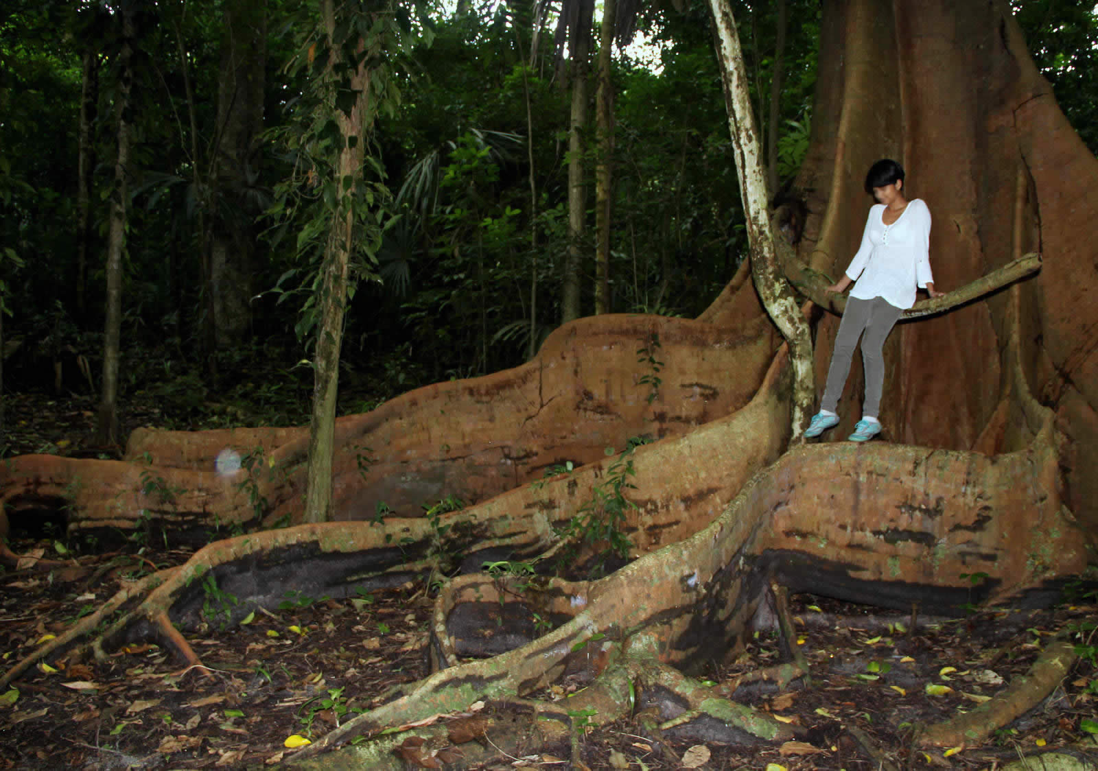 Bush Bush Wildlife Sanctuary: Destination Trinidad and Tobago | Tours ...