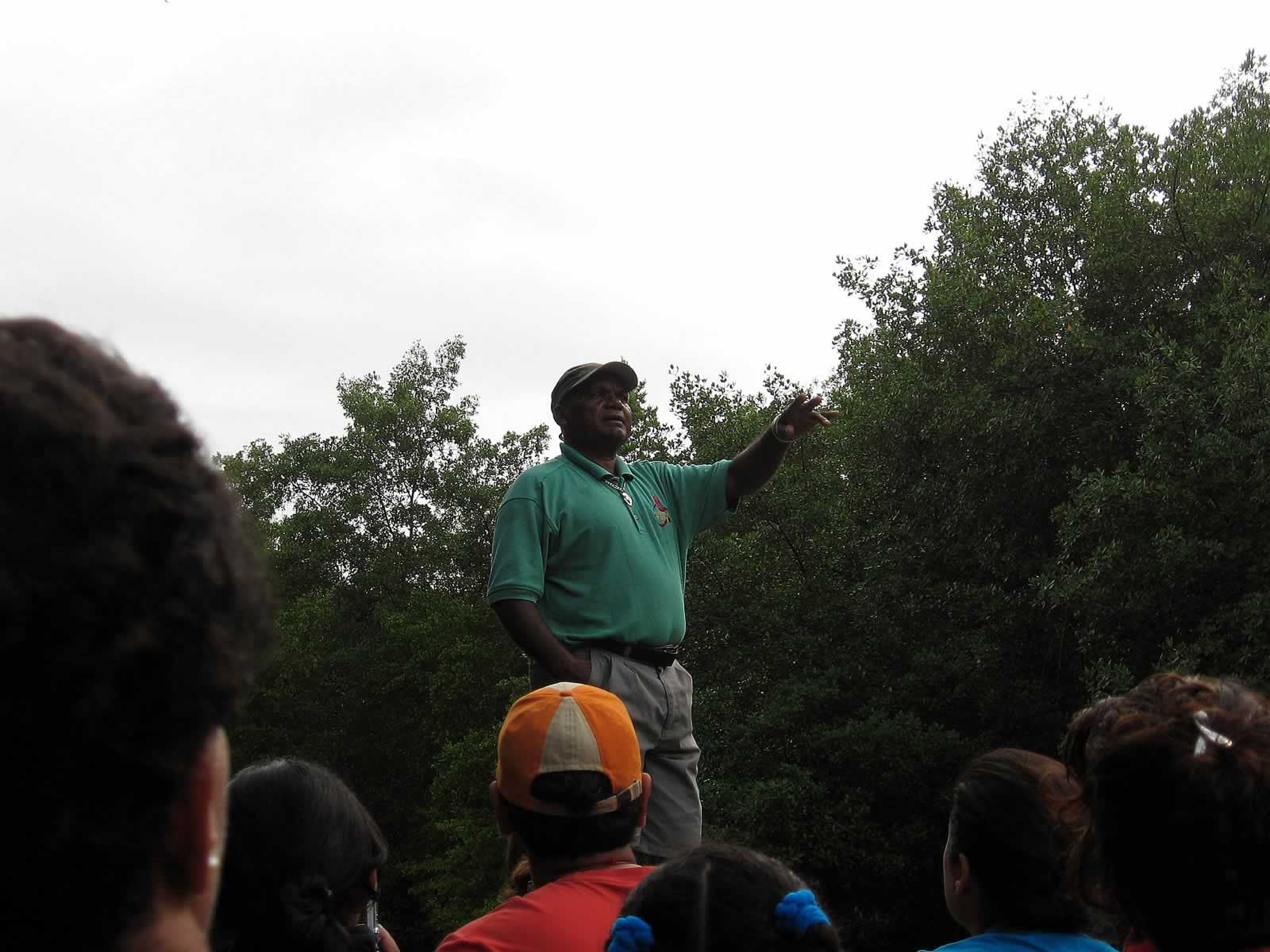 Caroni Swamp and Bird Sanctuary: Destination Trinidad and Tobago ...