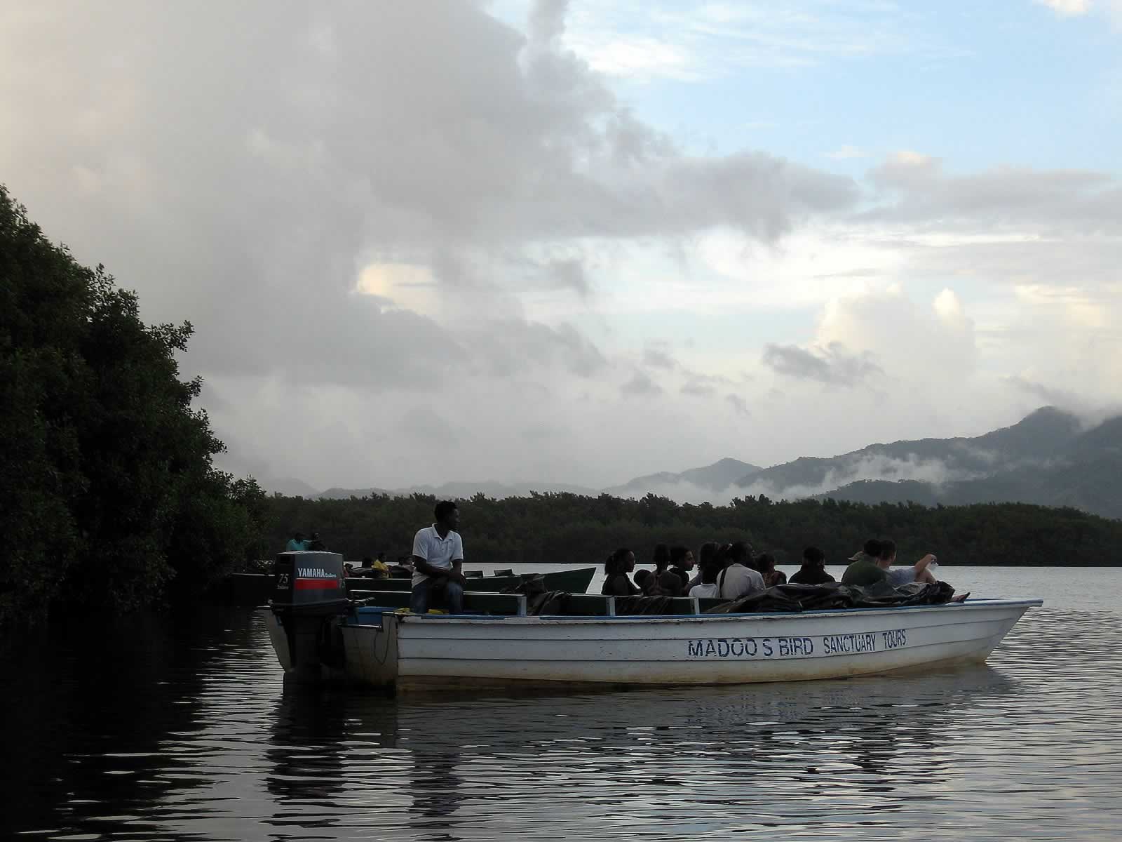 Caroni Swamp and Bird Sanctuary: Destination Trinidad and Tobago ...