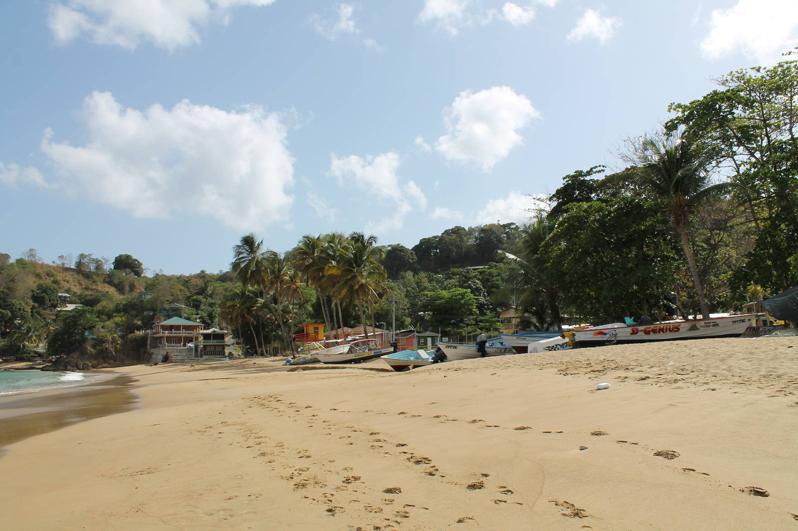 Castara Bay: Destination Trinidad and Tobago | Tours, Holidays ...