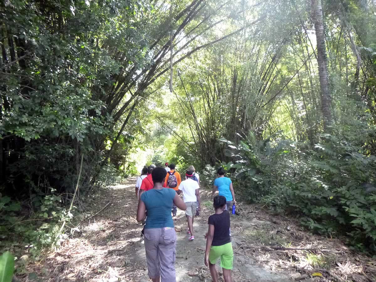 Covigne River Gorge: Destination Trinidad and Tobago | Tours, Holidays ...