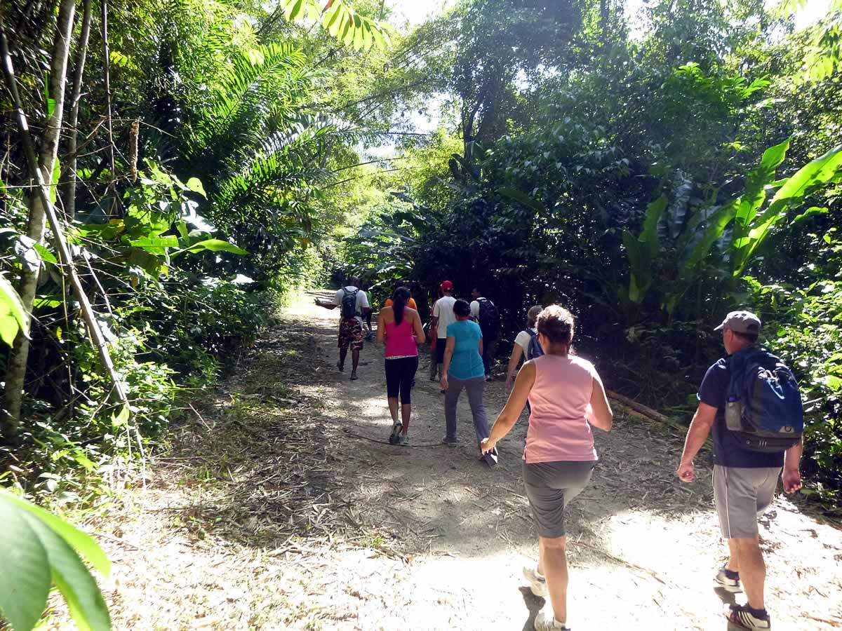 Covigne River Gorge: Destination Trinidad and Tobago | Tours, Holidays ...