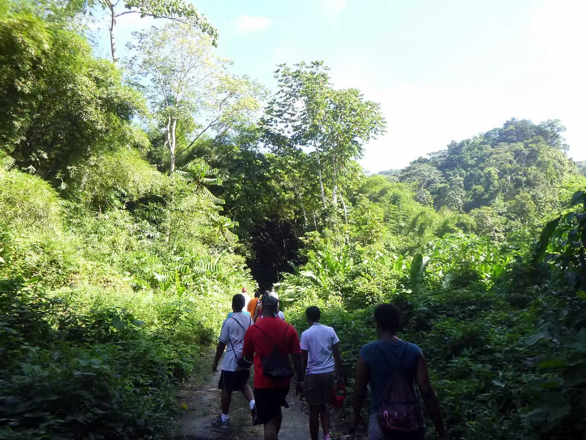 Covigne River Gorge: Destination Trinidad and Tobago | Tours, Holidays ...