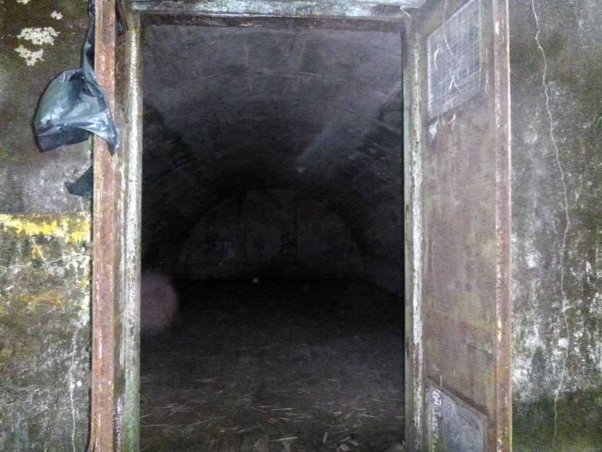 Covigne River Gorge: Destination Trinidad and Tobago | Tours, Holidays ...