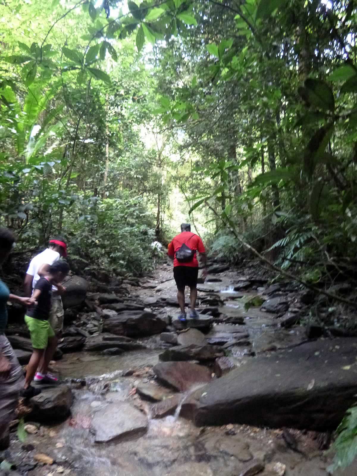 Covigne River Gorge: Destination Trinidad and Tobago | Tours, Holidays ...