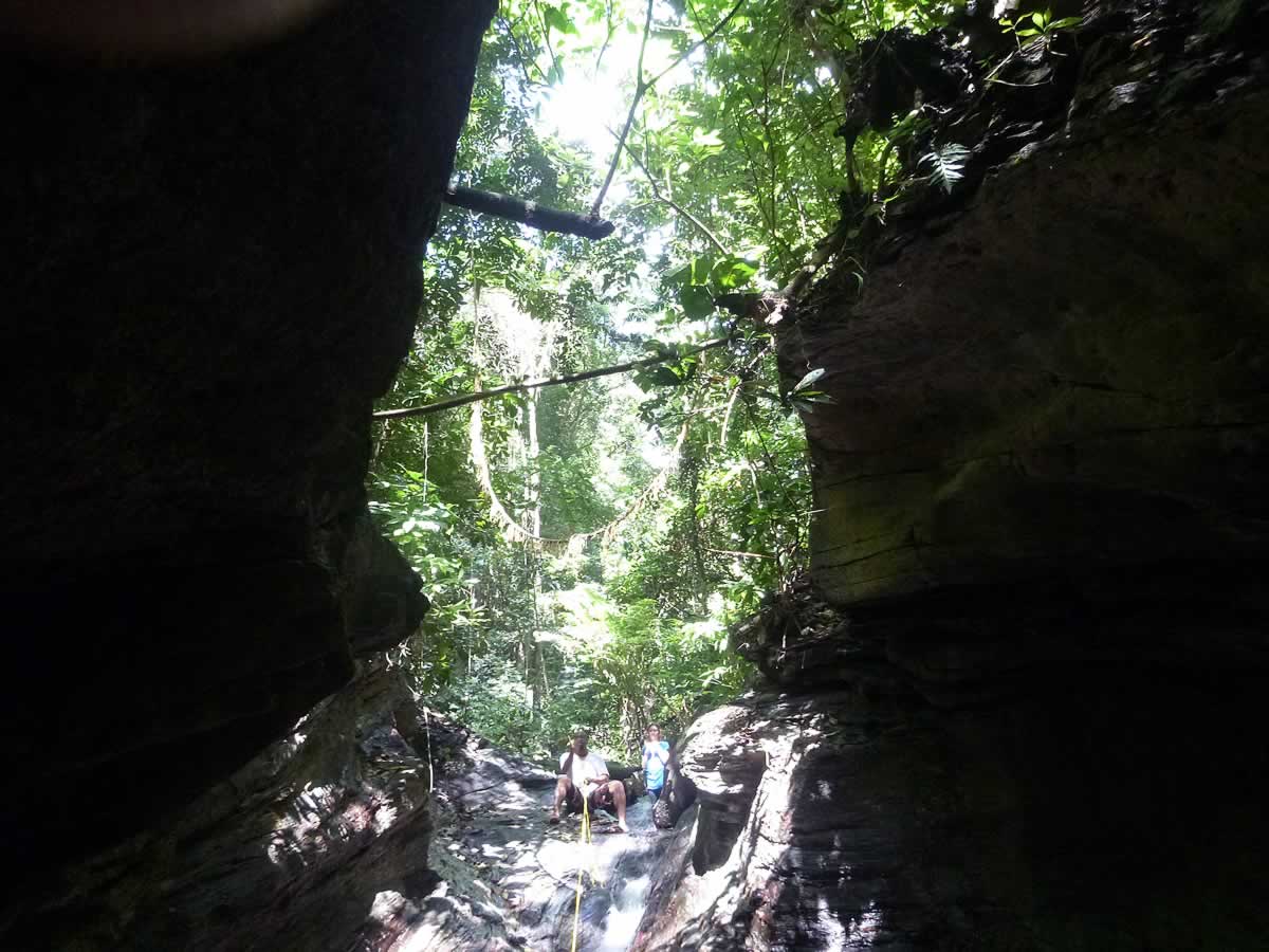 Covigne River Gorge: Destination Trinidad and Tobago | Tours, Holidays ...