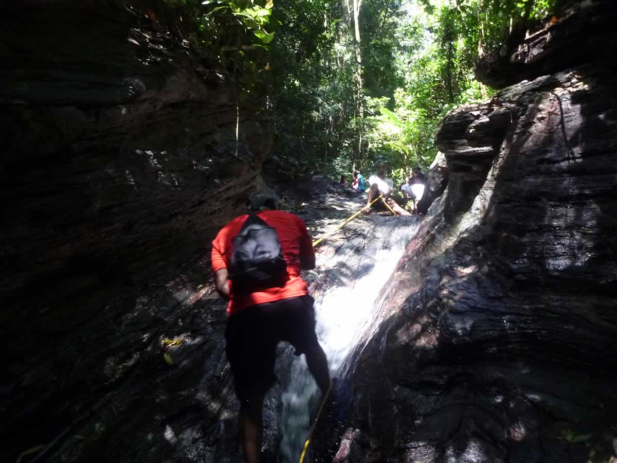 Covigne River Gorge: Destination Trinidad and Tobago | Tours, Holidays ...
