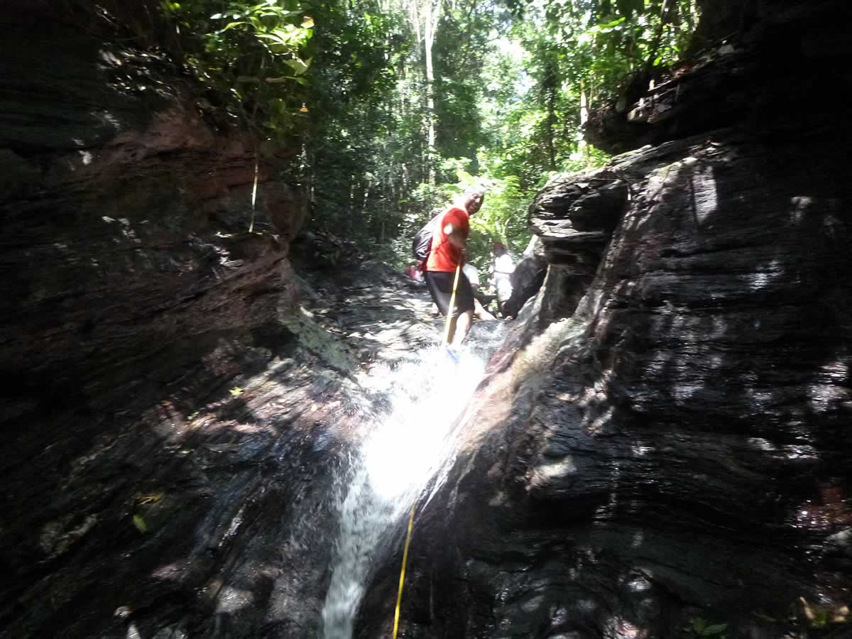 Covigne River Gorge: Destination Trinidad and Tobago | Tours, Holidays ...