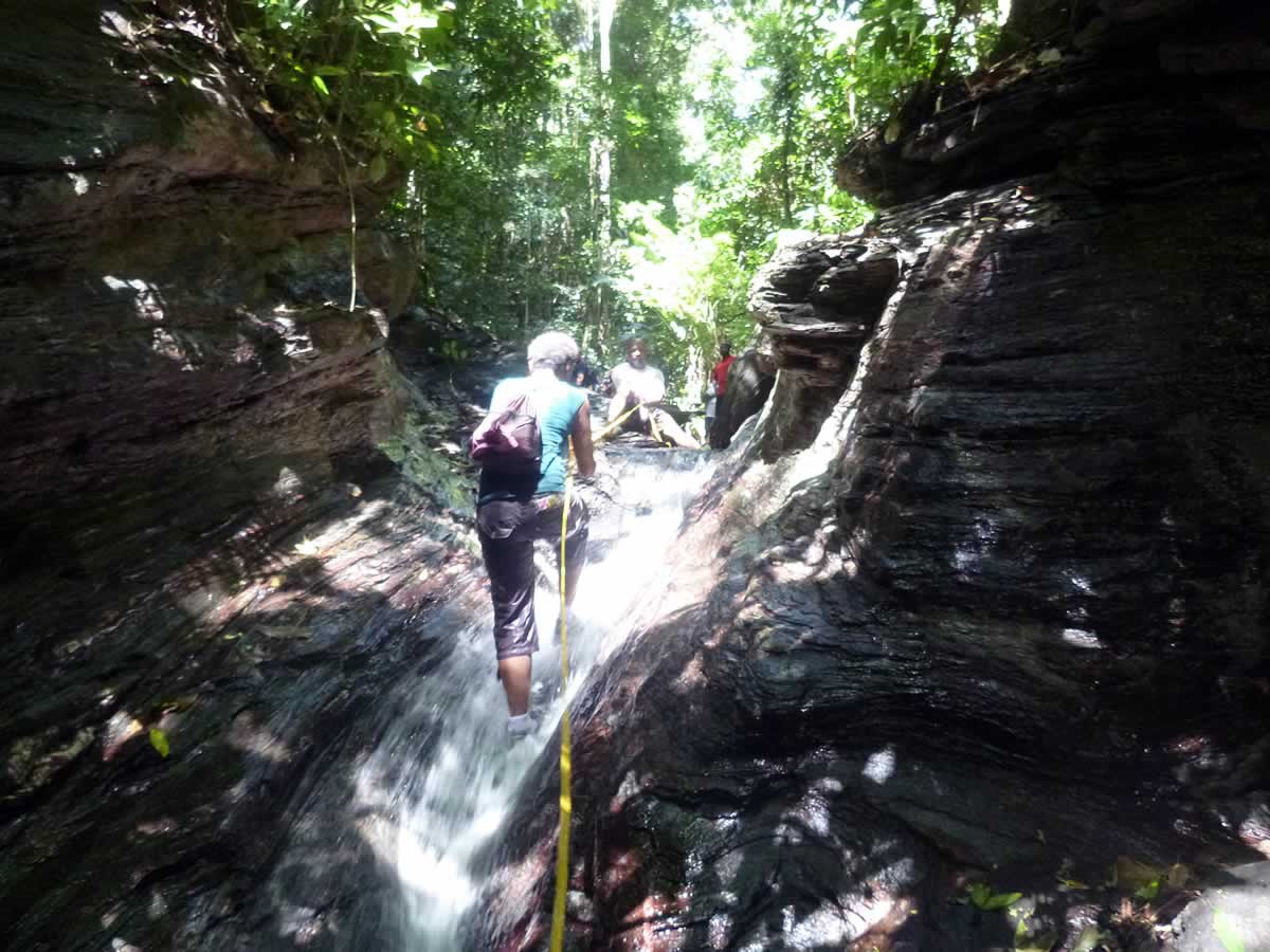 Covigne River Gorge: Destination Trinidad and Tobago | Tours, Holidays ...