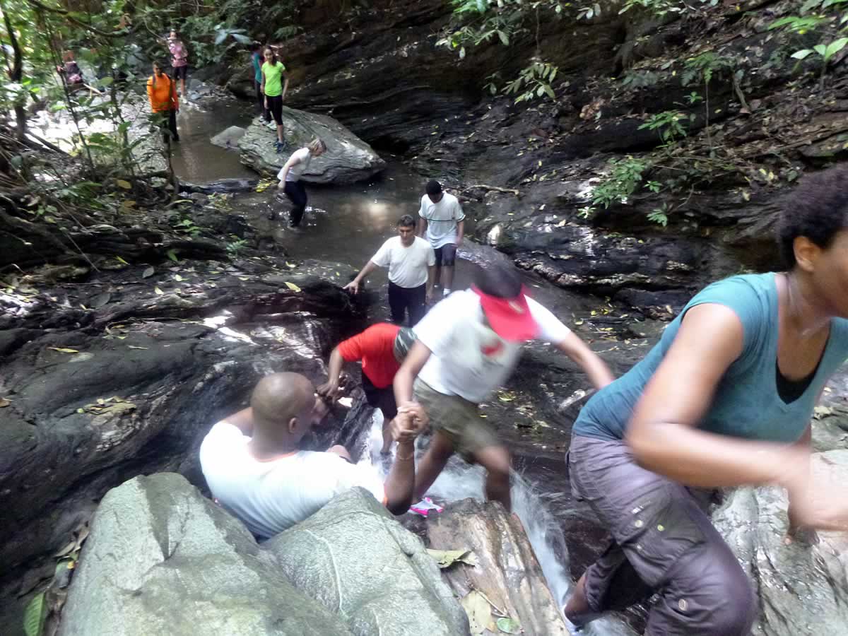 Covigne River Gorge: Destination Trinidad and Tobago | Tours, Holidays ...