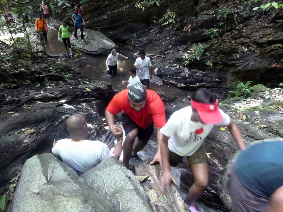 Covigne River Gorge: Destination Trinidad and Tobago | Tours, Holidays ...