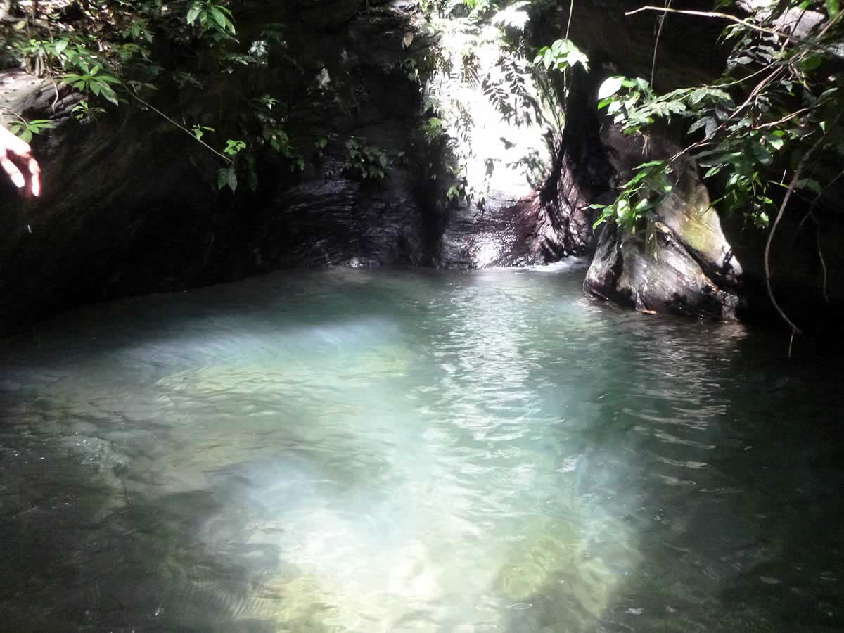 Covigne River Gorge: Destination Trinidad and Tobago | Tours, Holidays ...