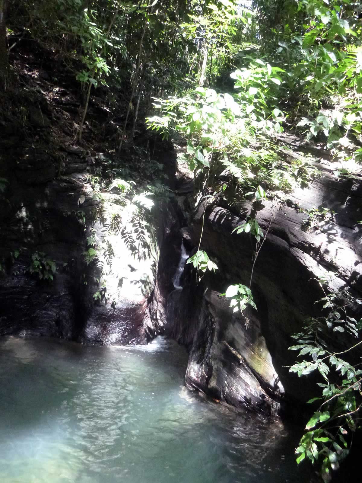 Covigne River Gorge: Destination Trinidad and Tobago | Tours, Holidays ...