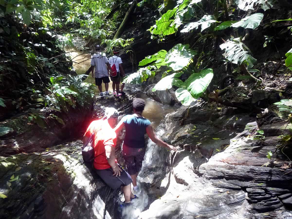 Covigne River Gorge: Destination Trinidad and Tobago | Tours, Holidays ...