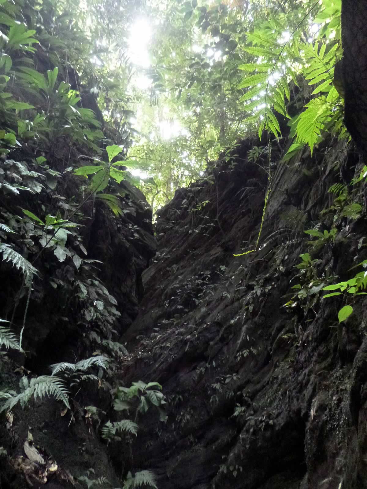 Covigne River Gorge: Destination Trinidad and Tobago | Tours, Holidays ...