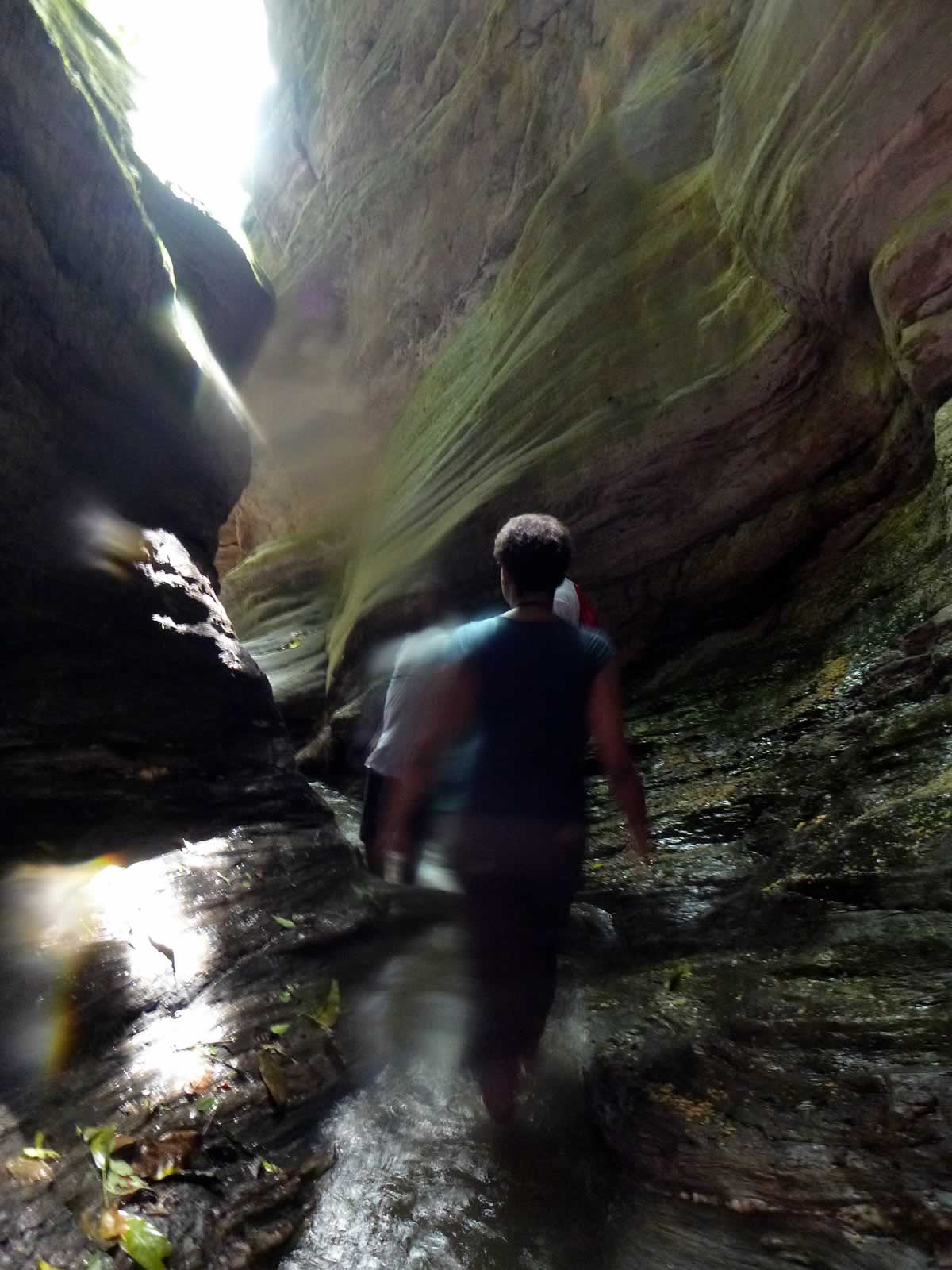 Covigne River Gorge: Destination Trinidad and Tobago | Tours, Holidays ...