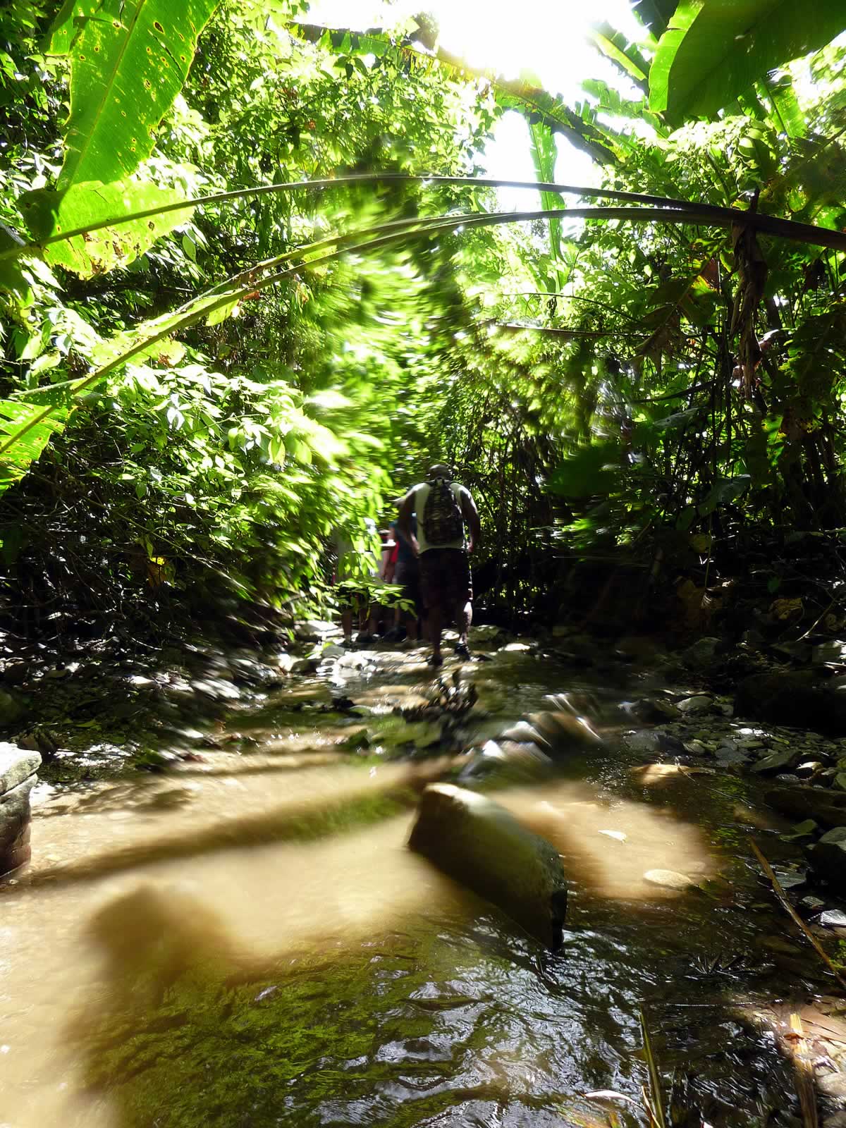 Covigne River Gorge: Destination Trinidad and Tobago | Tours, Holidays ...