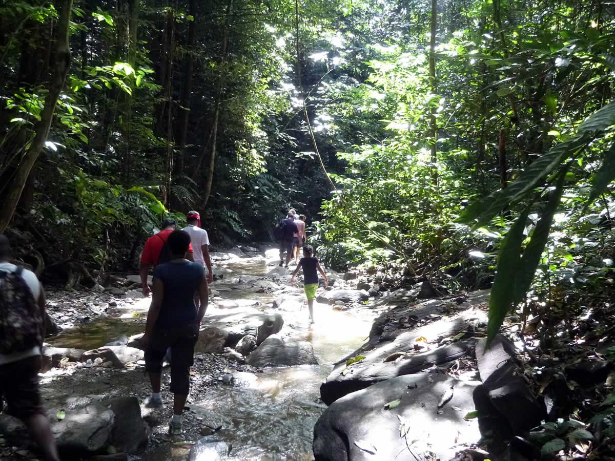 Covigne River Gorge: Destination Trinidad and Tobago | Tours, Holidays ...