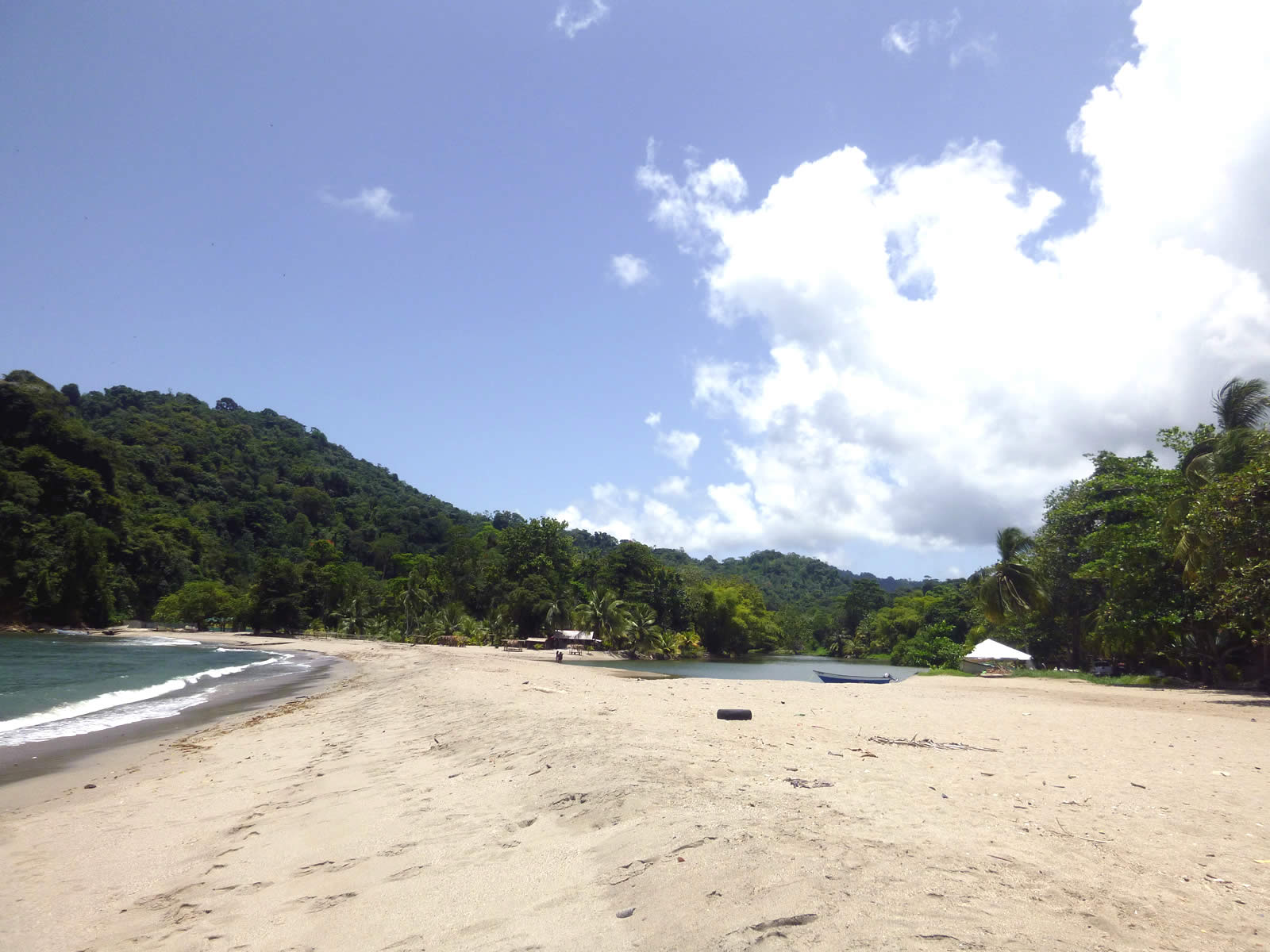 Grande Riviere Beach: Destination Trinidad and Tobago | Tours, Holidays ...