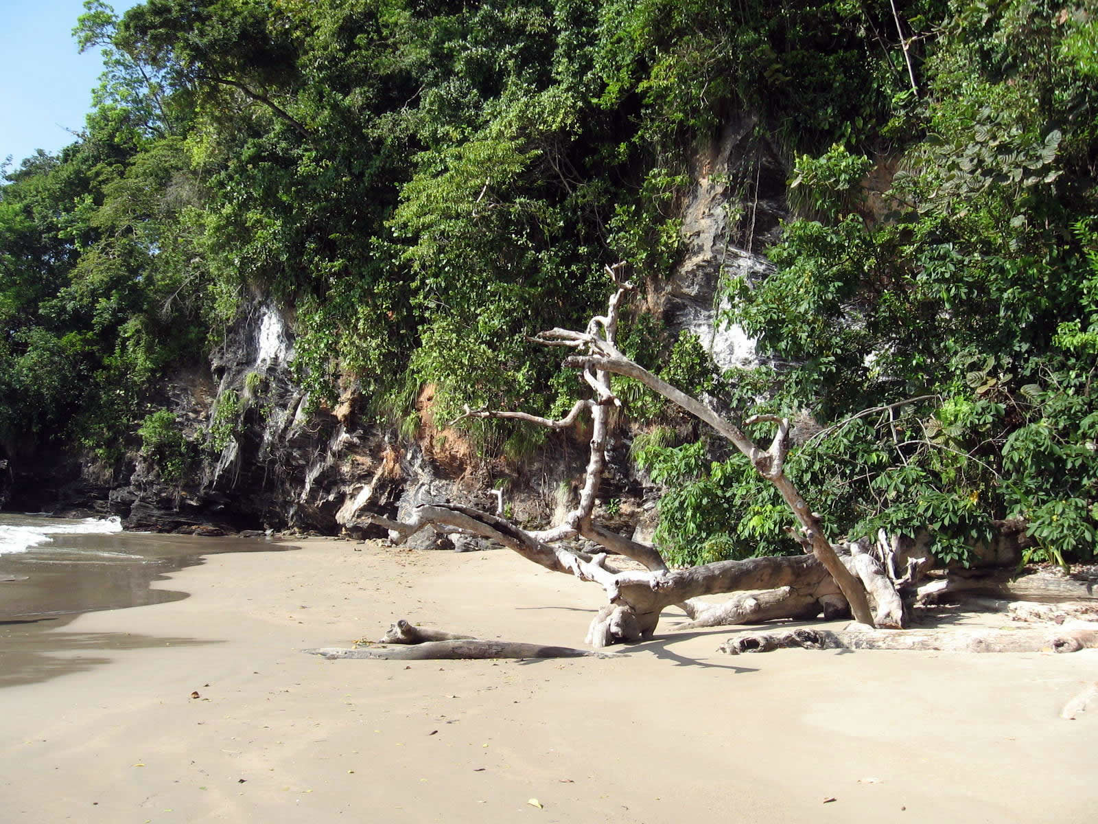 Hundred Steps Beach: Destination Trinidad and Tobago | Tours, Holidays ...