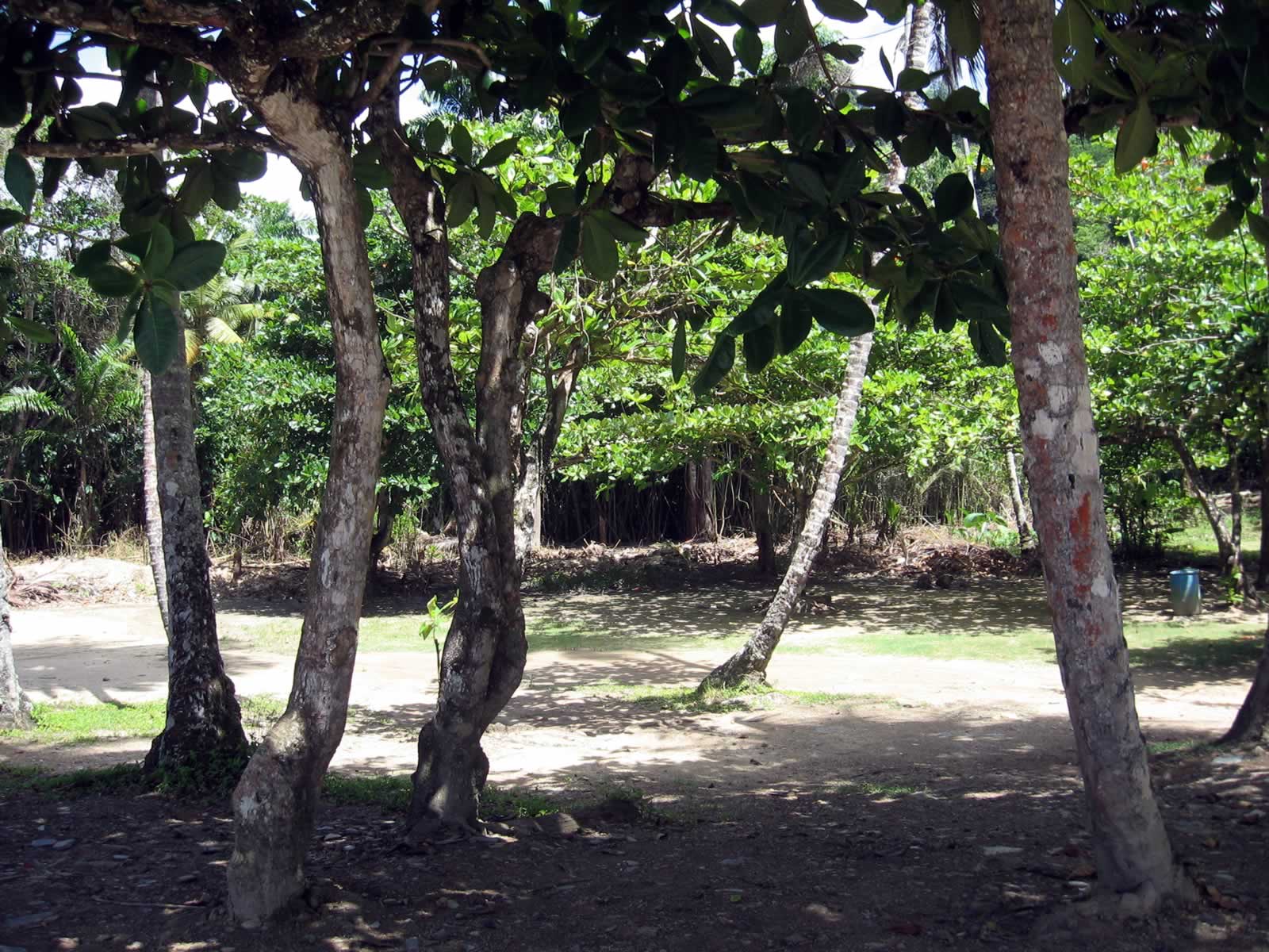 Marianne Beach: Destination Trinidad and Tobago | Tours, Holidays ...