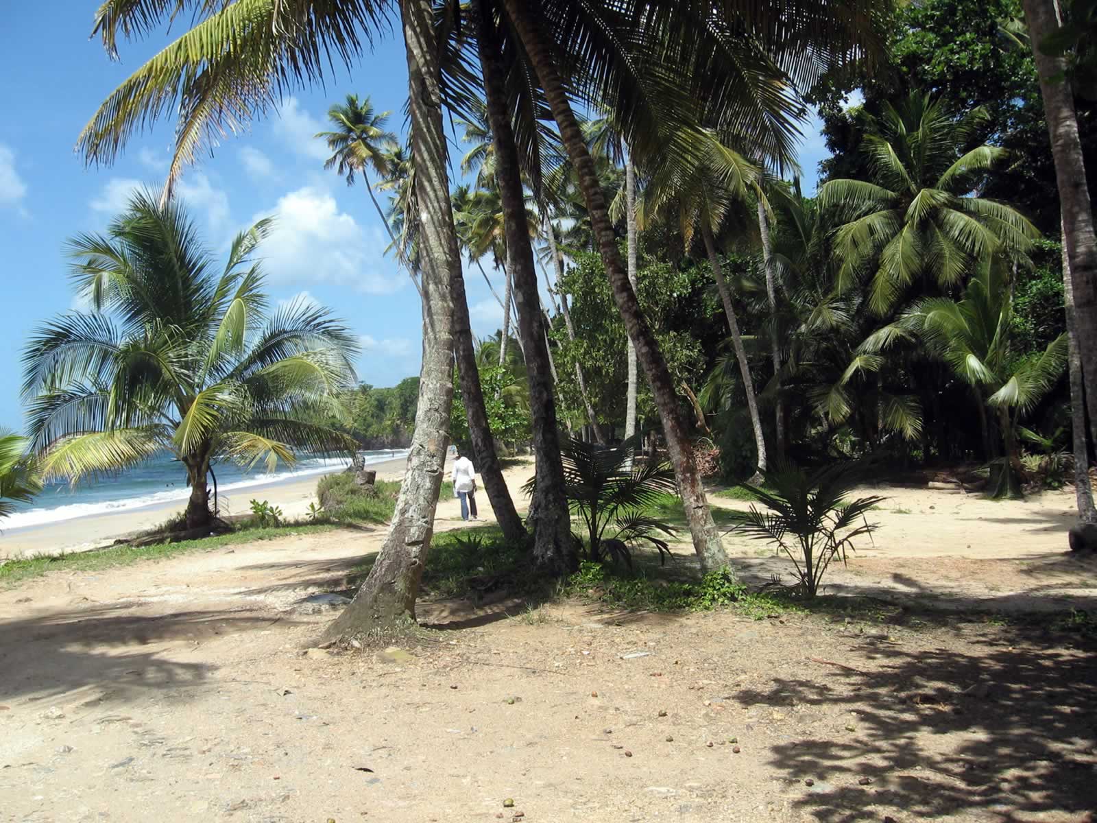 Marianne Beach: Destination Trinidad and Tobago | Tours, Holidays ...