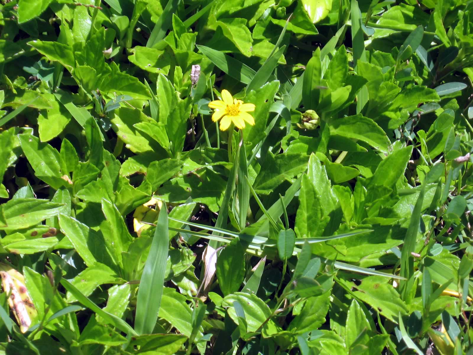 Marianne Beach: Destination Trinidad and Tobago | Tours, Holidays ...