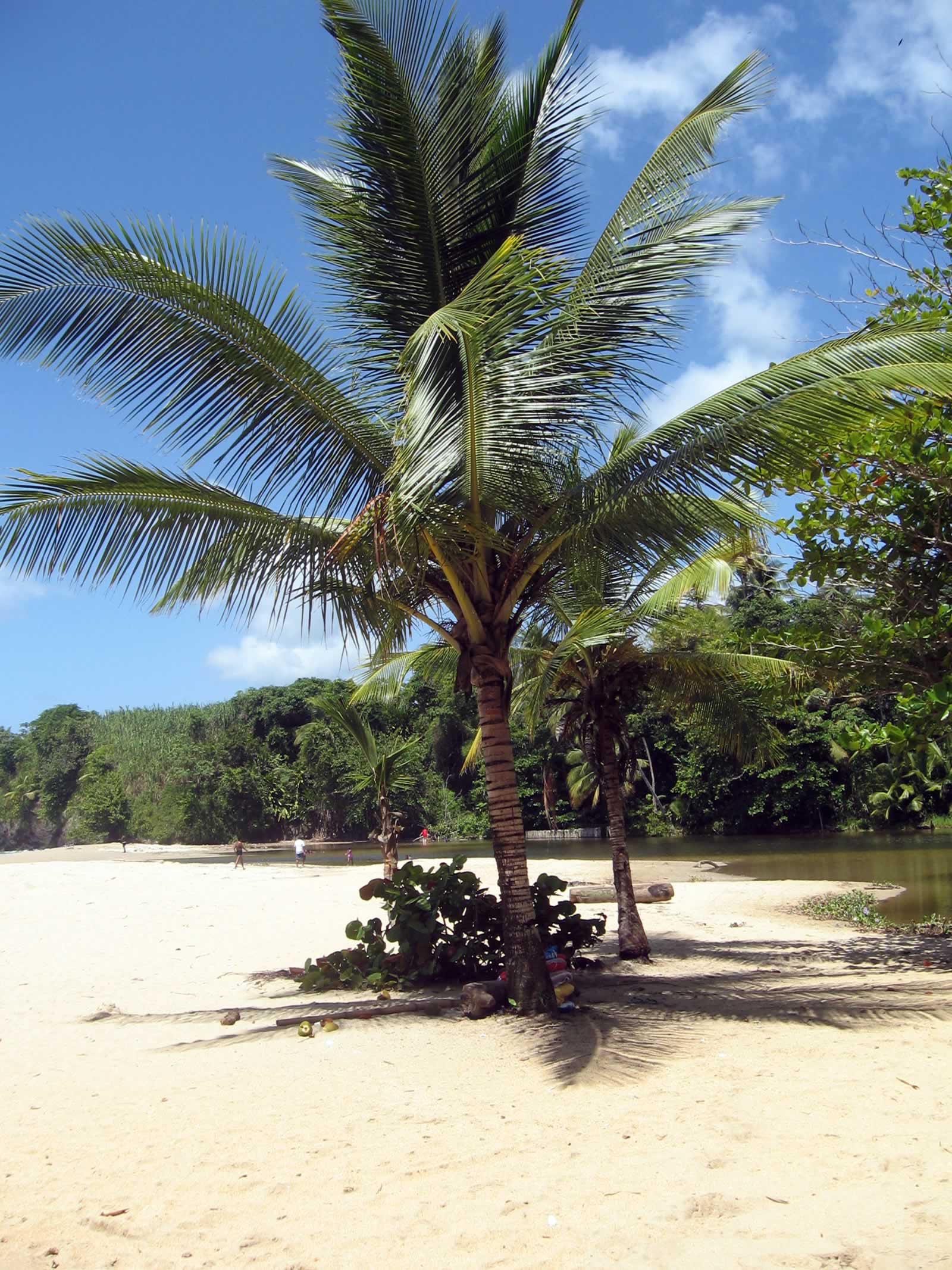 Marianne Beach: Destination Trinidad and Tobago | Tours, Holidays ...