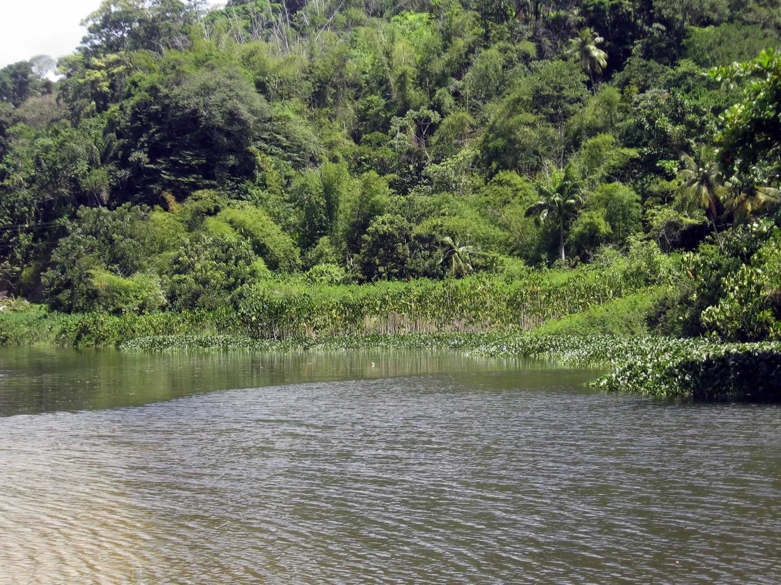 Marianne Beach: Destination Trinidad and Tobago | Tours, Holidays ...