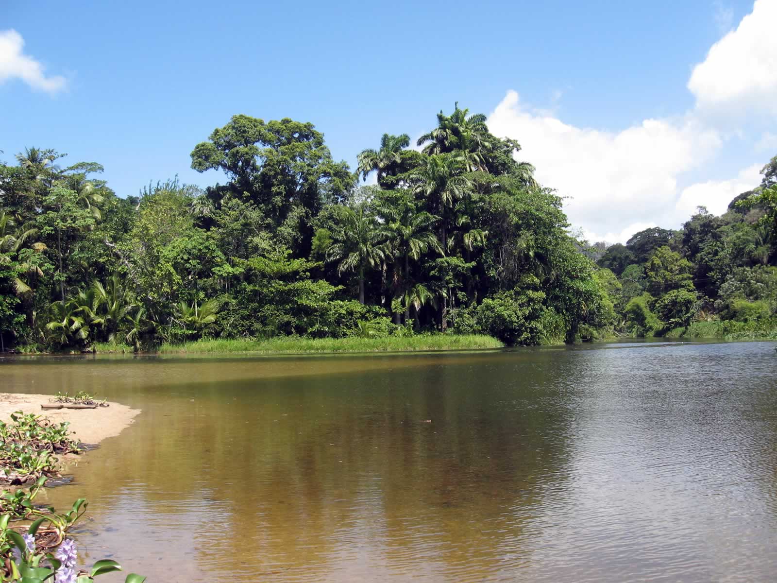 Marianne Beach: Destination Trinidad and Tobago | Tours, Holidays ...