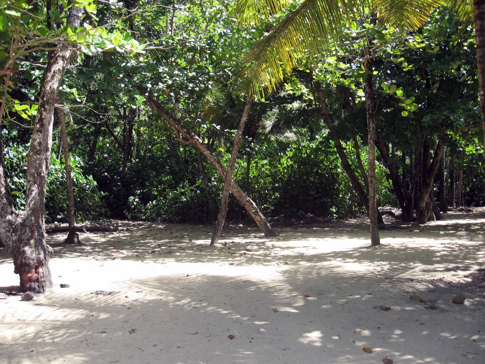 Marianne Beach: Destination Trinidad and Tobago | Tours, Holidays ...