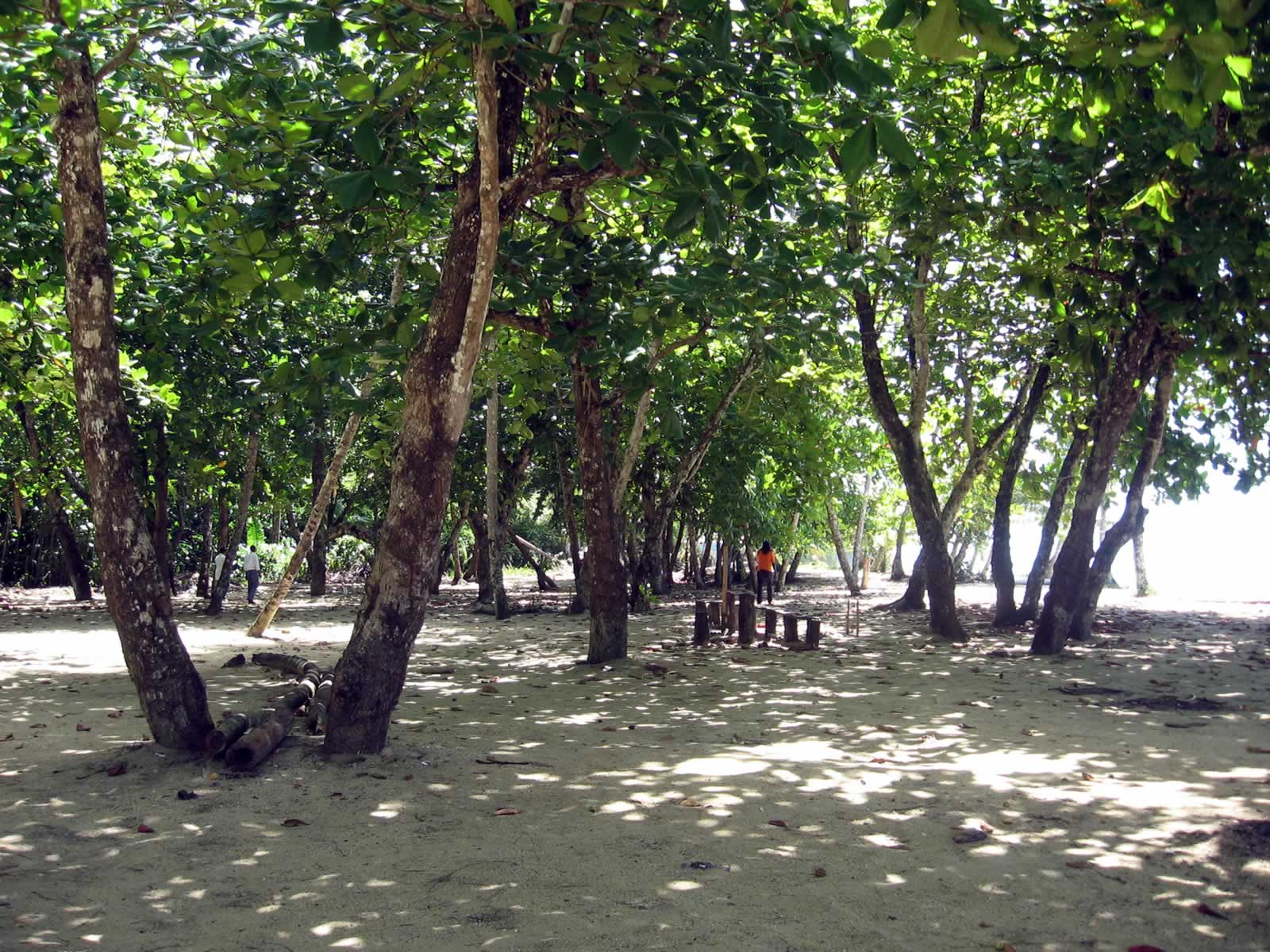 Marianne Beach: Destination Trinidad and Tobago | Tours, Holidays ...