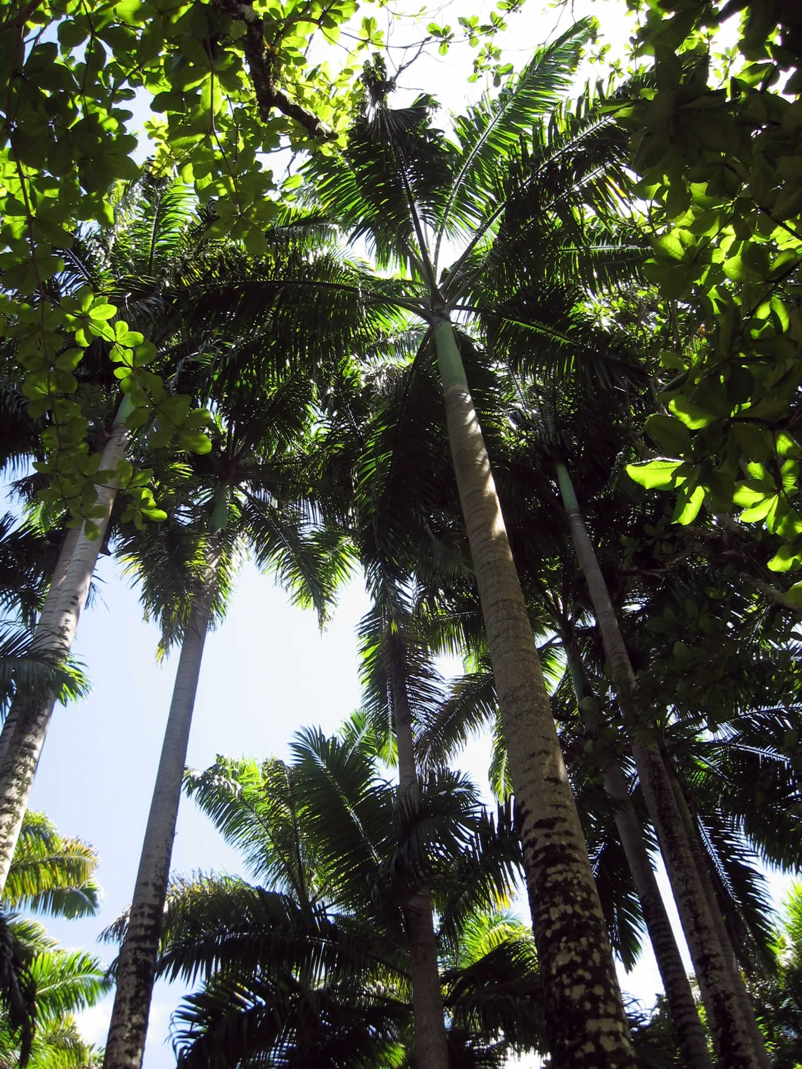 Marianne Beach: Destination Trinidad and Tobago | Tours, Holidays ...