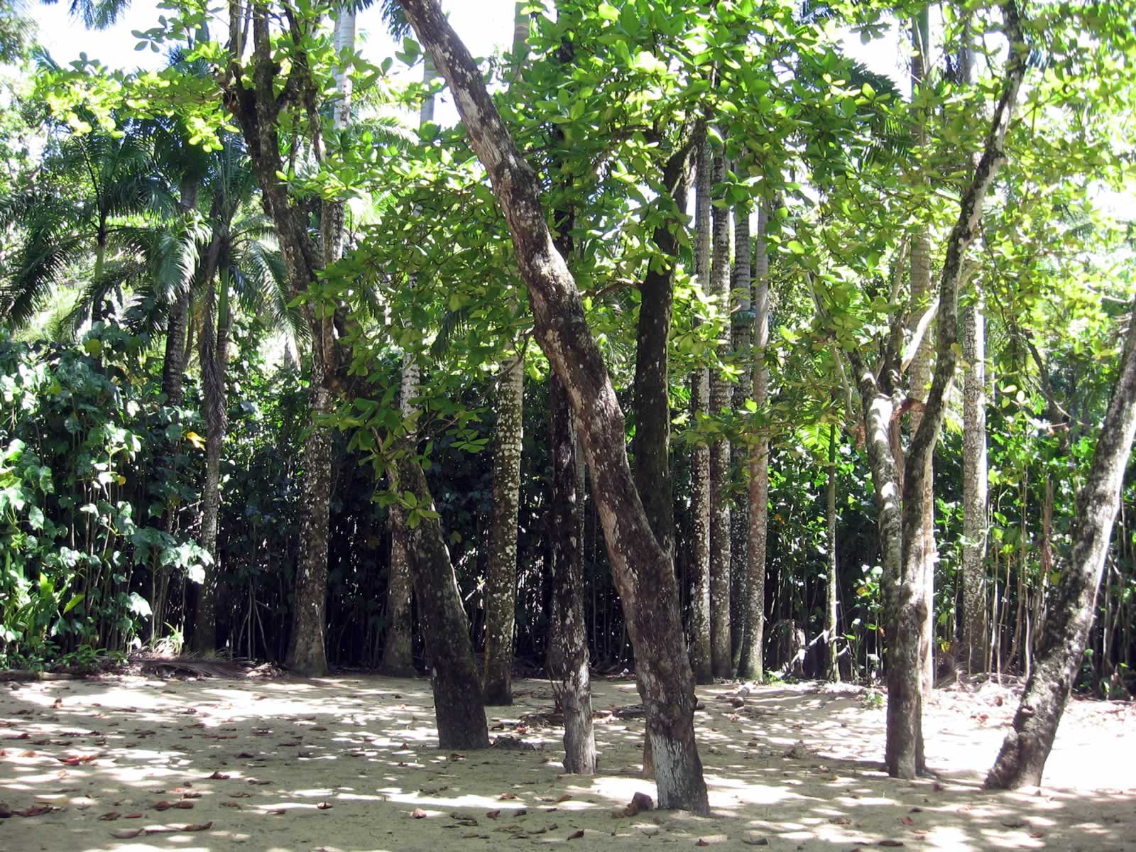 Marianne Beach: Destination Trinidad and Tobago | Tours, Holidays ...