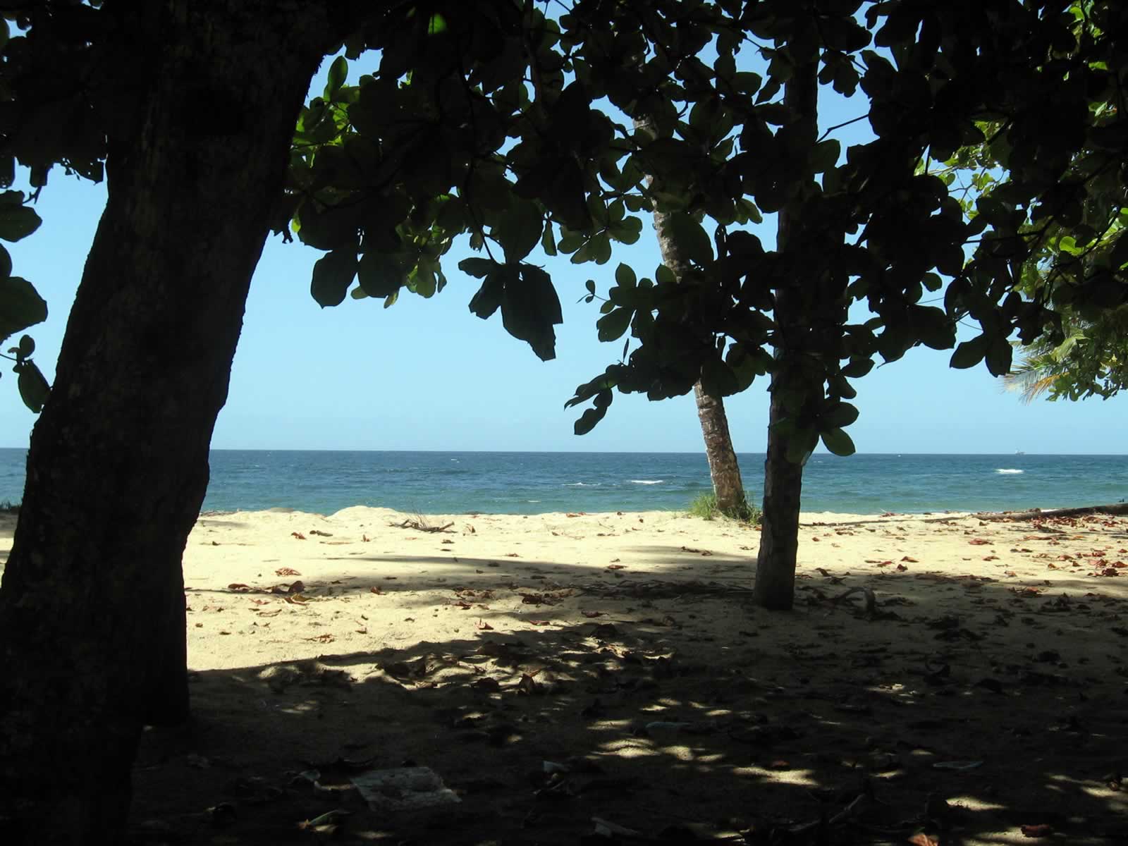 Marianne Beach: Destination Trinidad and Tobago | Tours, Holidays ...