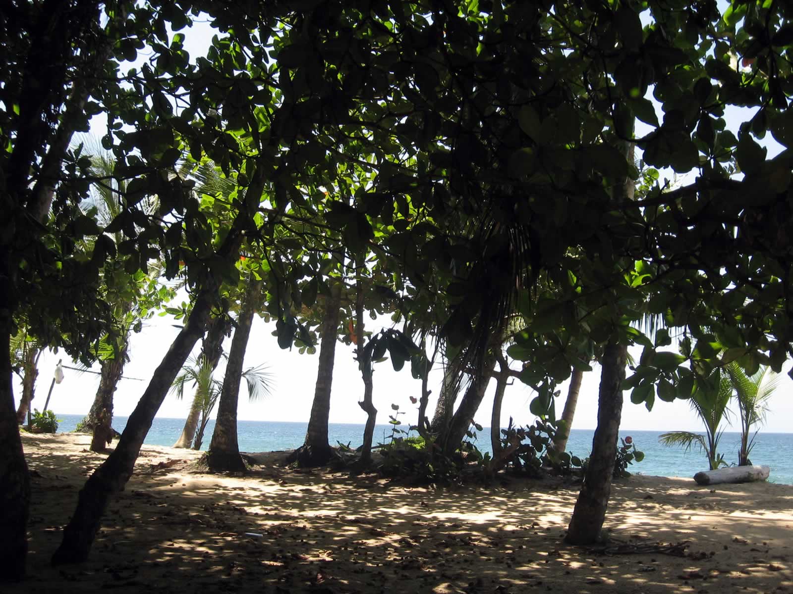 Marianne Beach: Destination Trinidad and Tobago | Tours, Holidays ...