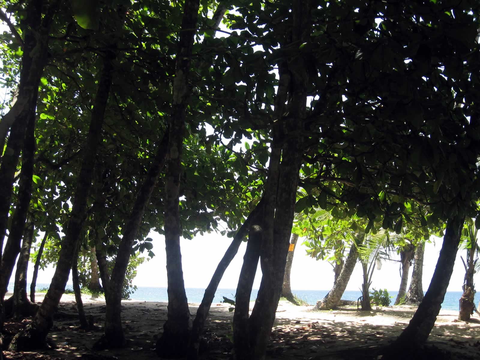 Marianne Beach: Destination Trinidad and Tobago | Tours, Holidays ...