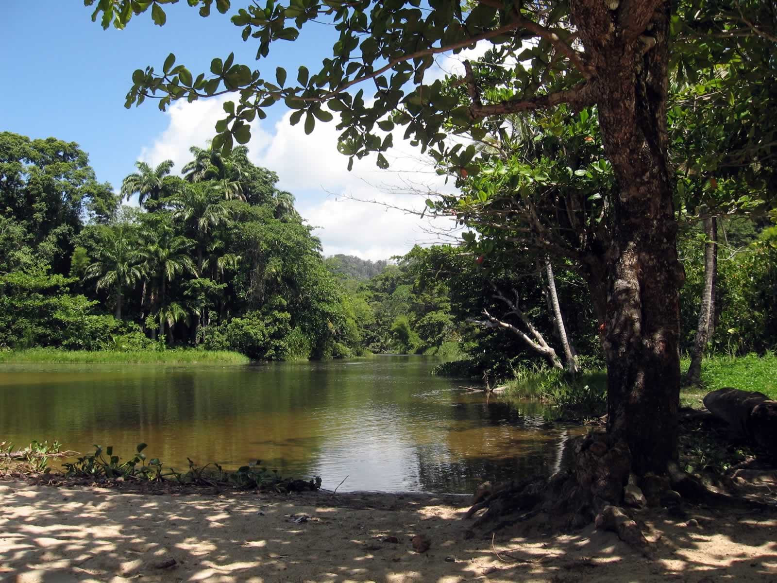 Marianne River: Destination Trinidad and Tobago | Tours, Holidays ...