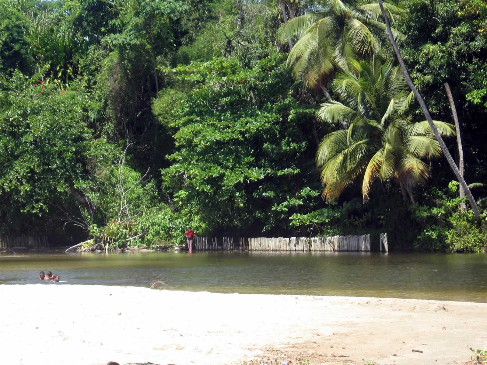 Marianne River: Destination Trinidad and Tobago | Tours, Holidays ...