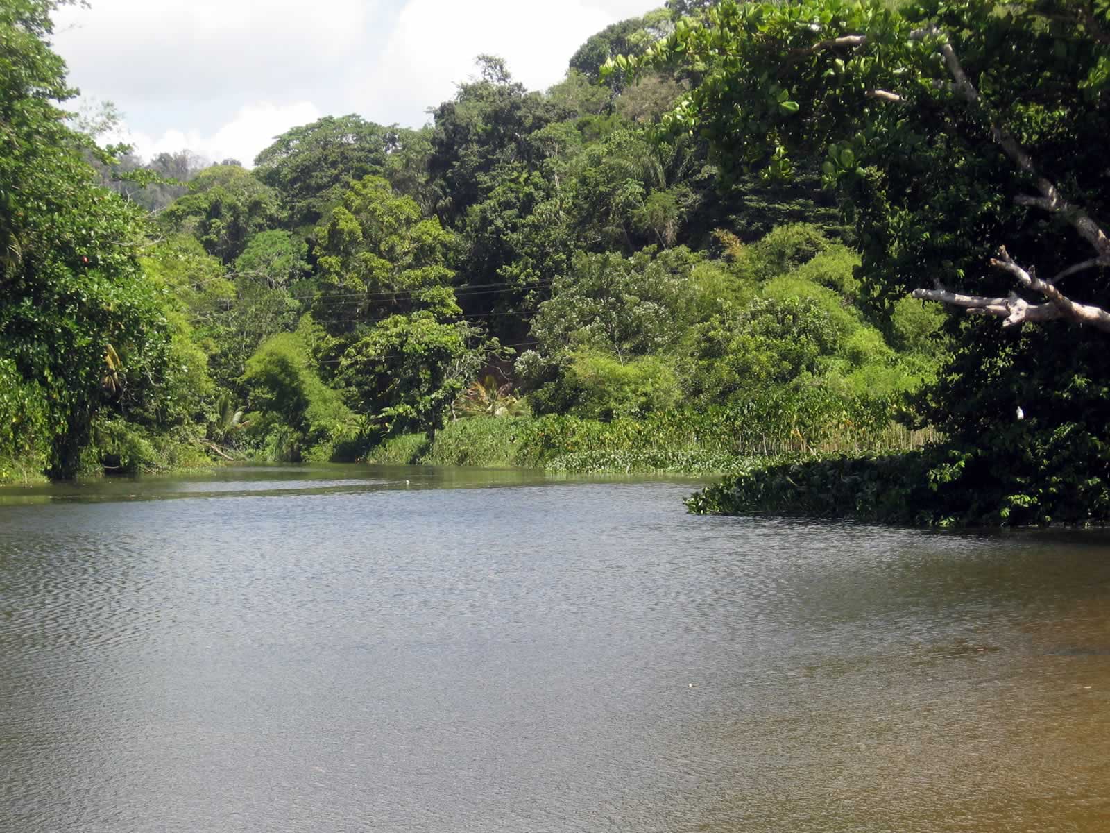 Marianne River: Destination Trinidad and Tobago | Tours, Holidays ...