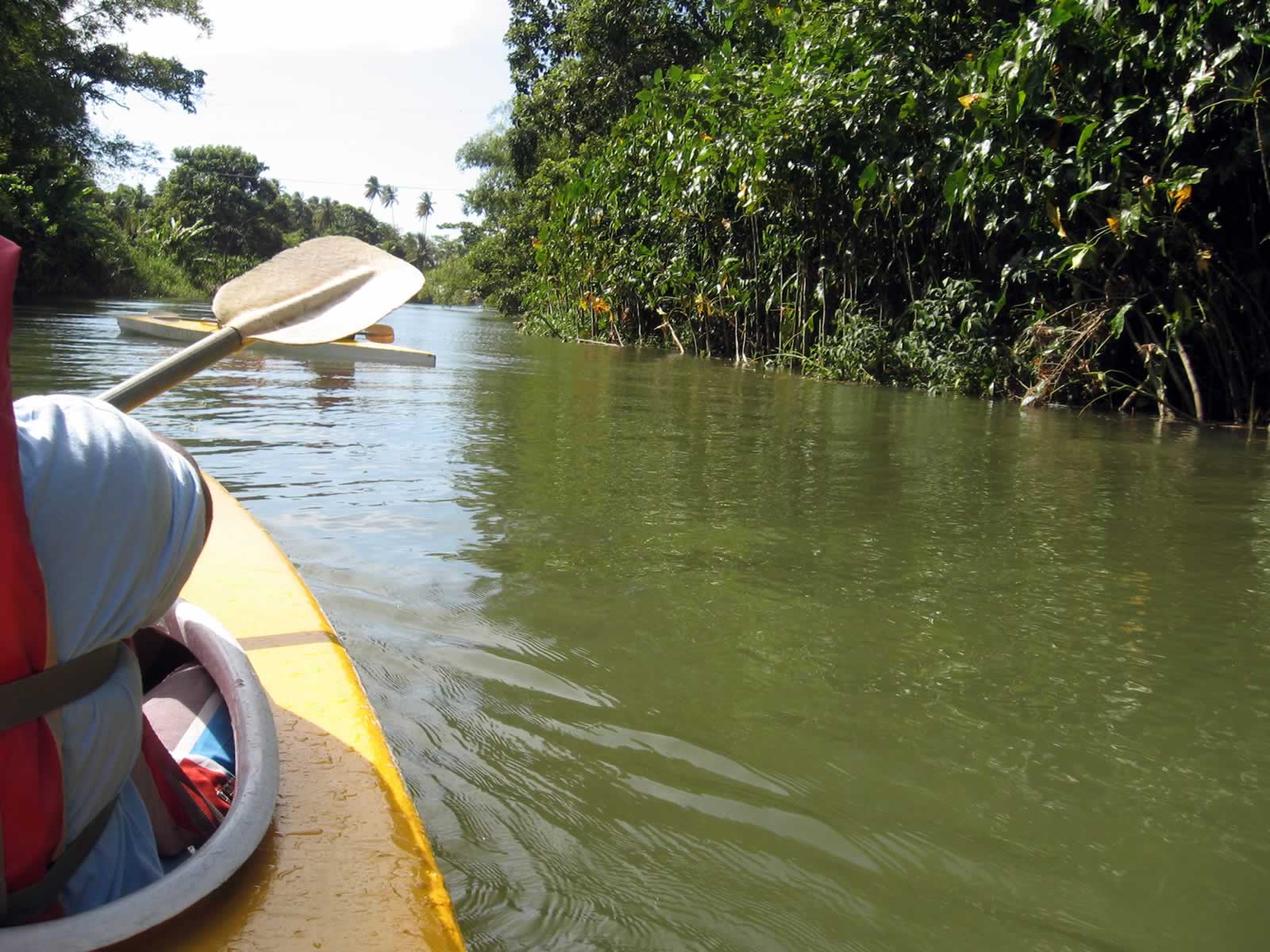 Marianne River: Destination Trinidad and Tobago | Tours, Holidays ...