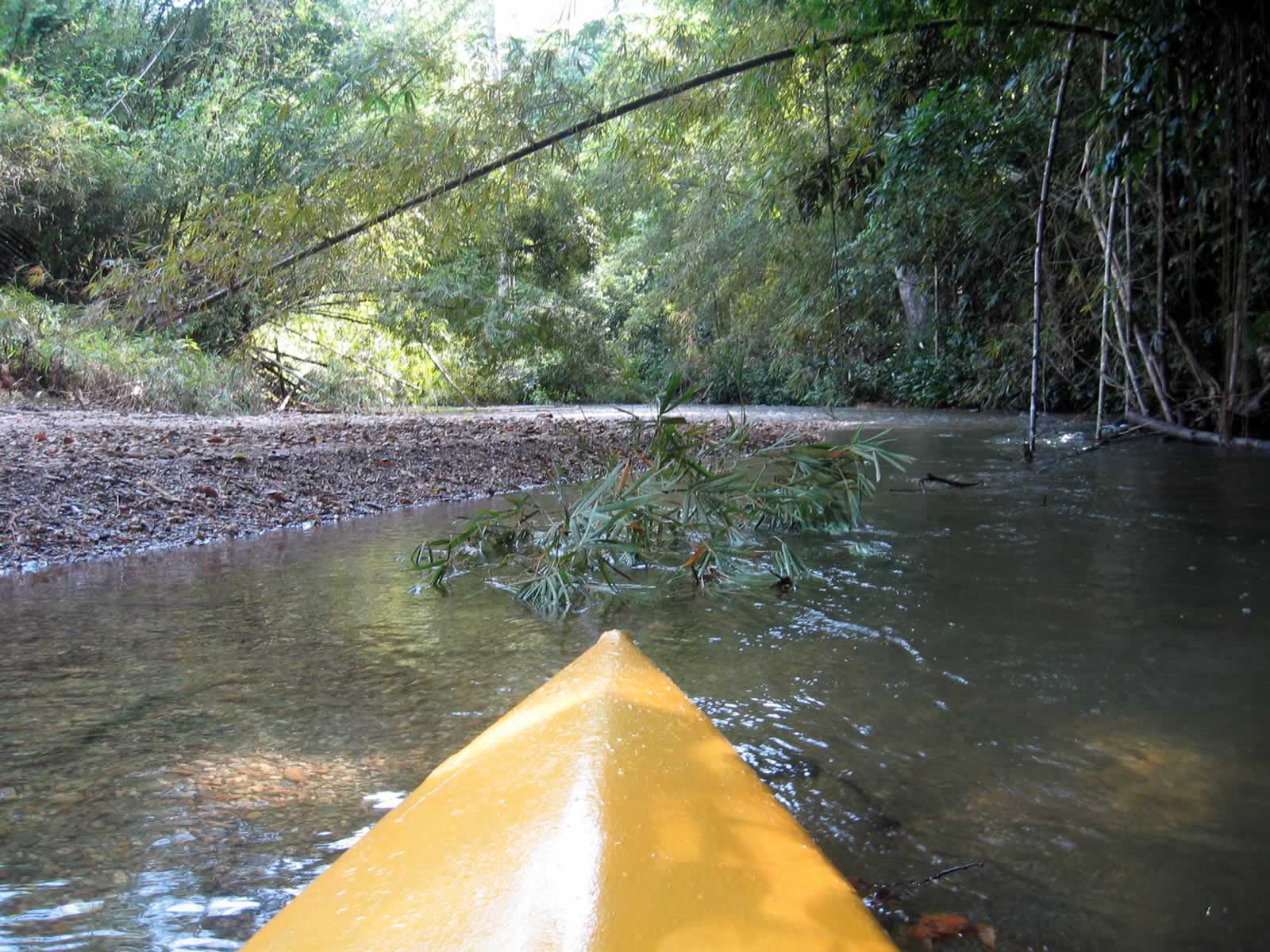 Marianne River: Destination Trinidad and Tobago | Tours, Holidays ...