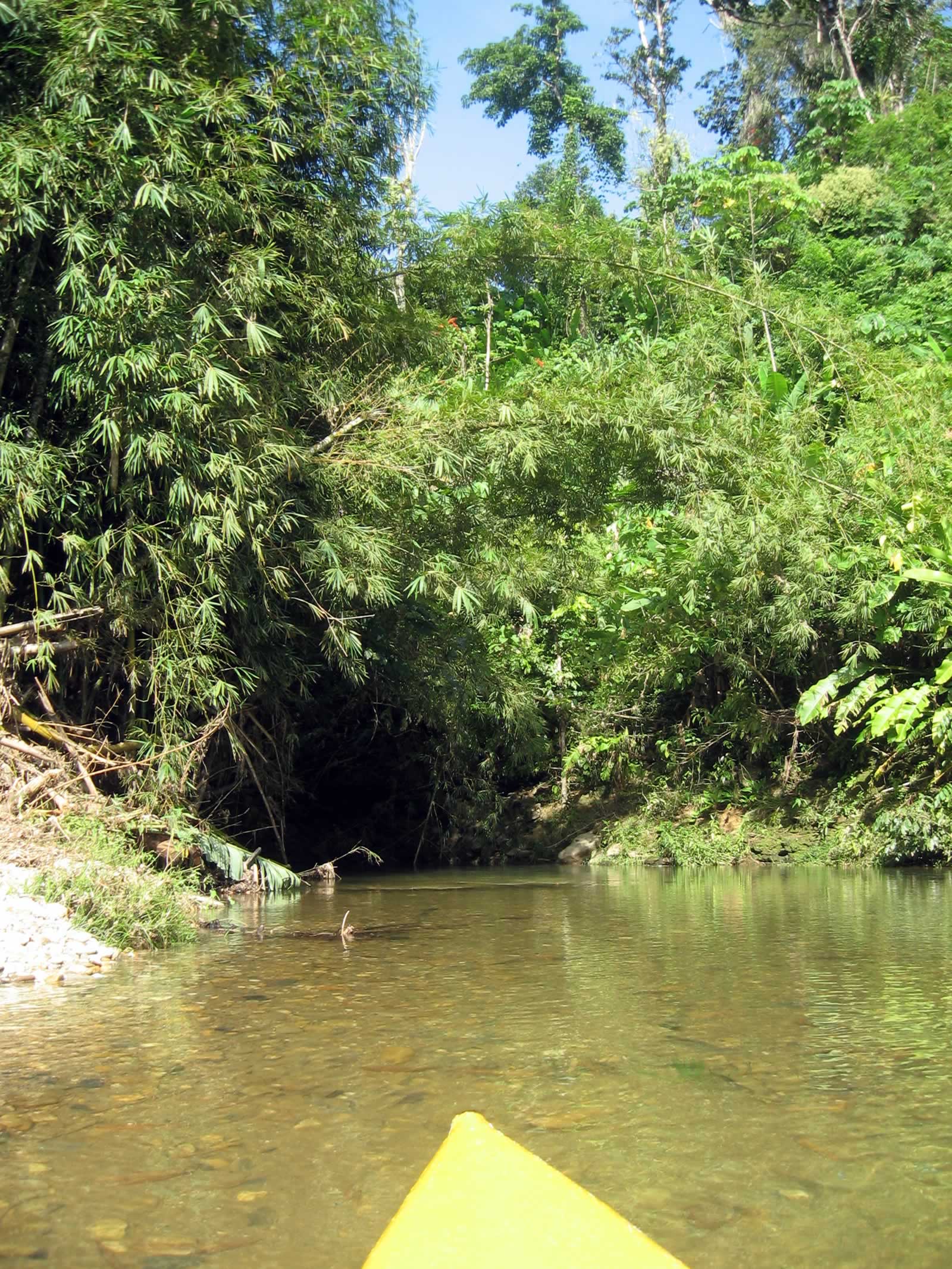 Marianne River: Destination Trinidad and Tobago | Tours, Holidays ...