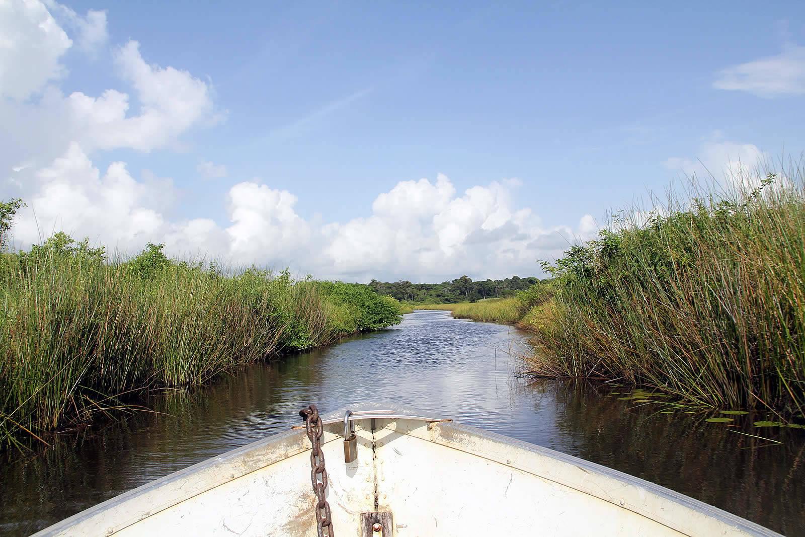 Nariva Swamp: Destination Trinidad and Tobago | Tours, Holidays ...