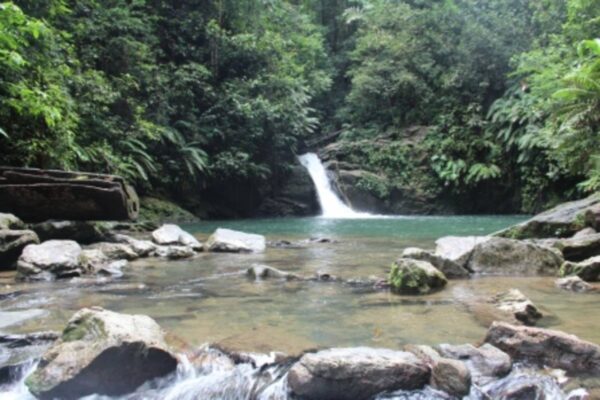 Rio Seco Waterfall: Destination Trinidad and Tobago | Tours, Holidays ...