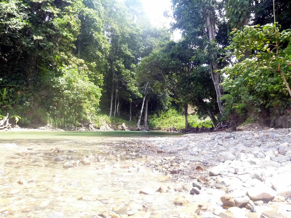 Shark River: Destination Trinidad and Tobago | Tours, Holidays ...