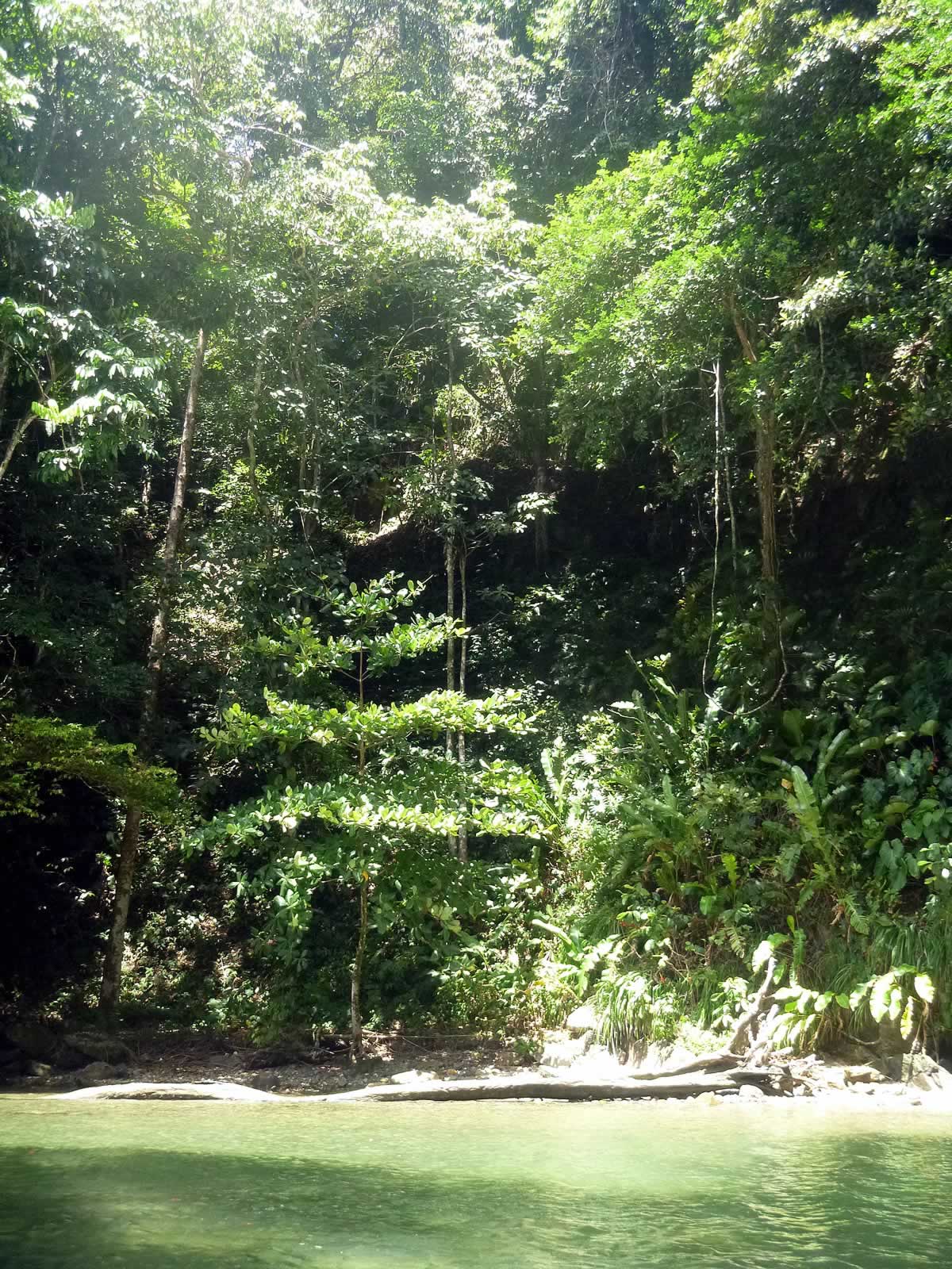 Shark River: Destination Trinidad and Tobago | Tours, Holidays ...