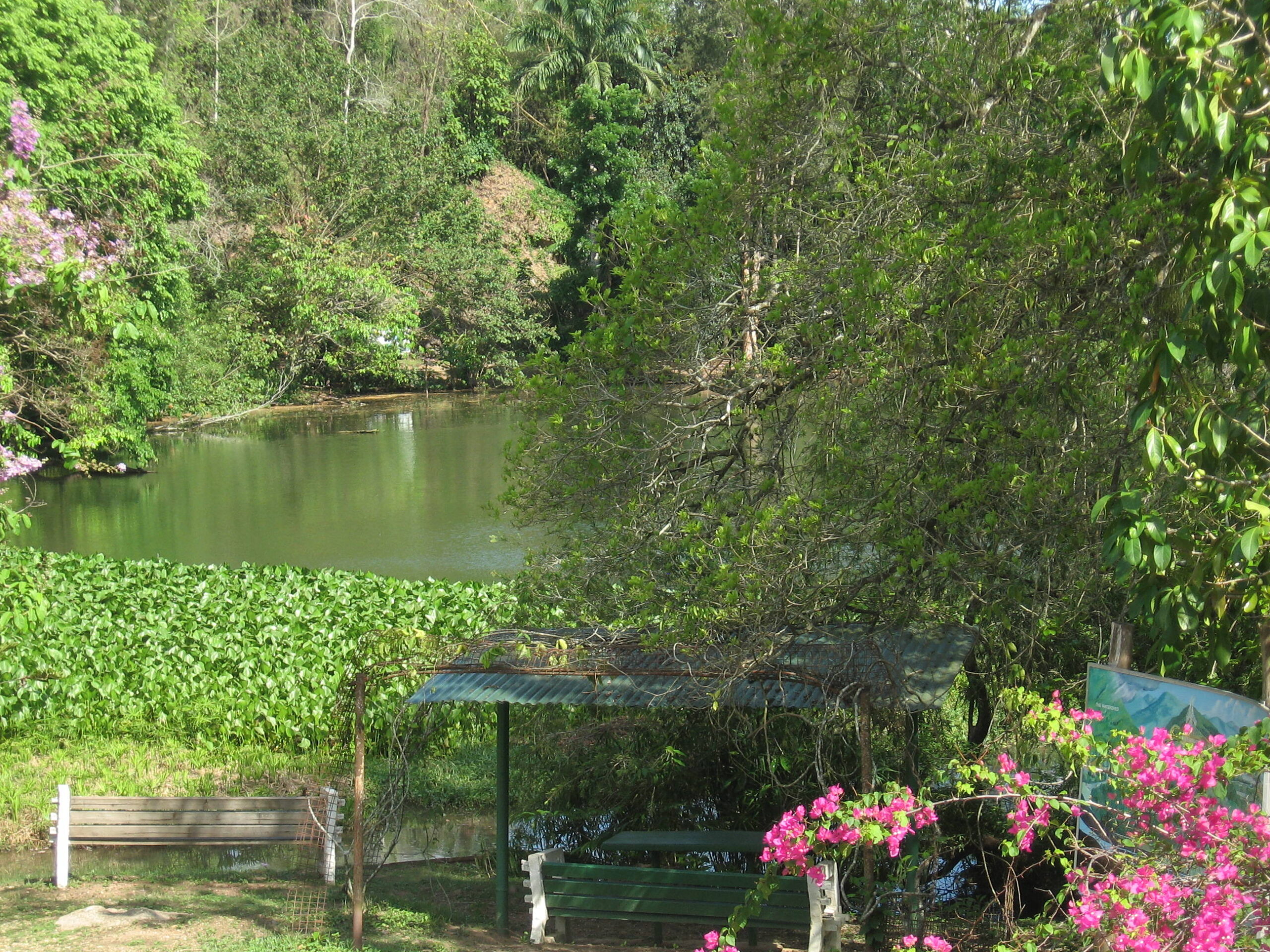 Pointe-A-Pierre Wild Fowl Trust: Destination Trinidad and Tobago ...