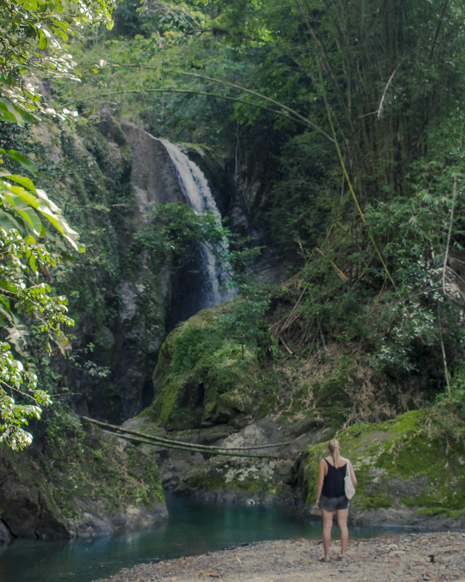 Highland Waterfall: Destination Trinidad and Tobago | Tours, Holidays ...